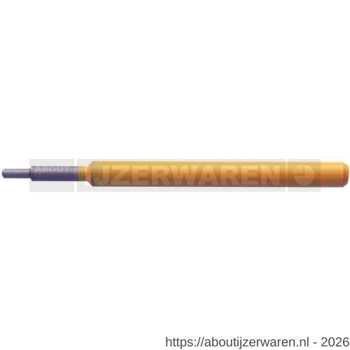 Rawl slagdoorn voor slaganker NG M8 R09-1776 W51401504 kopen | About ...